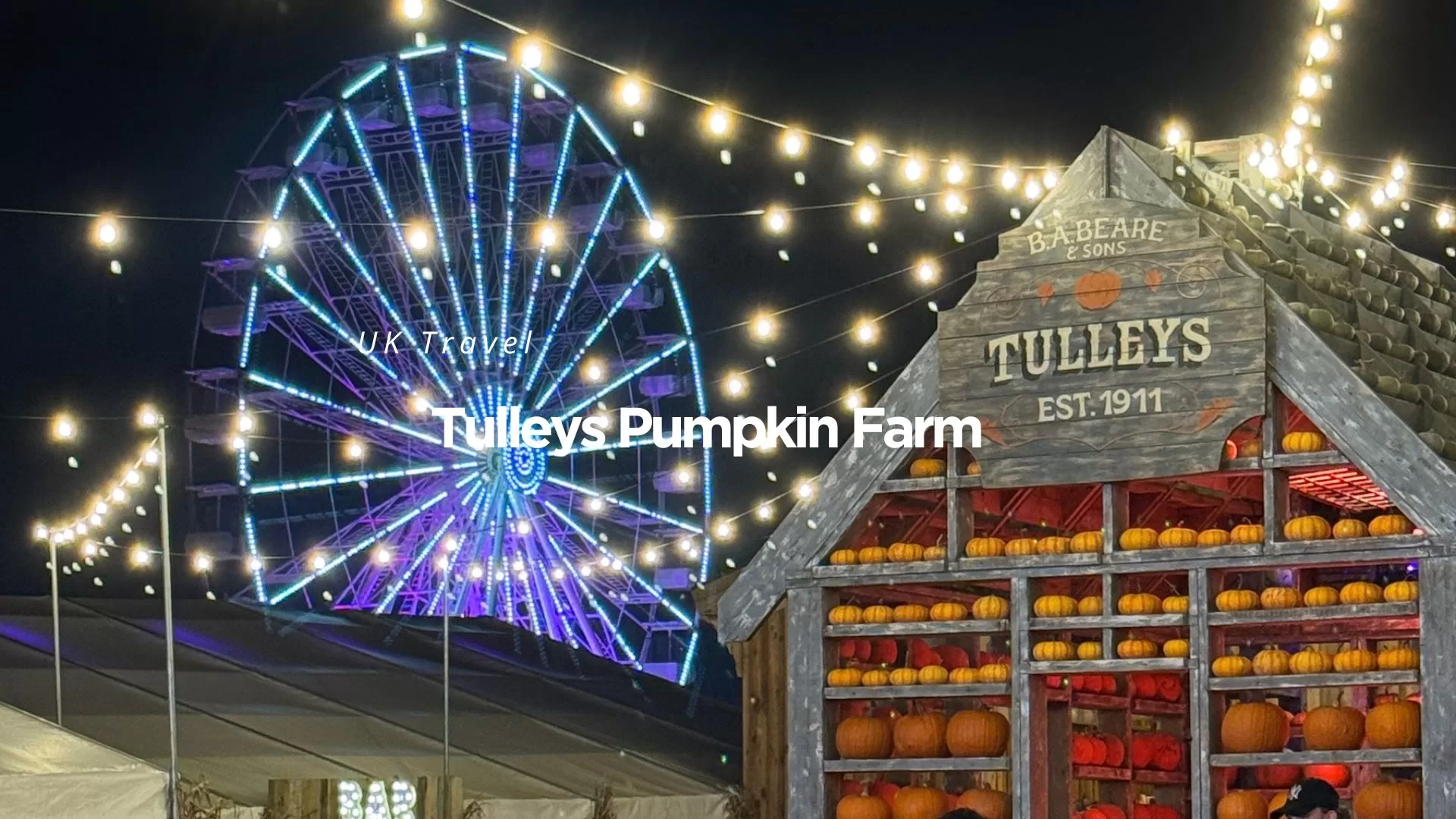 倫敦近郊景點｜Tulleys Pumpkin Farm：英國最大南瓜農場！採南瓜、萬聖節打卡與交通預約全攻略 | 旅行, 歐洲, 英國 ...
